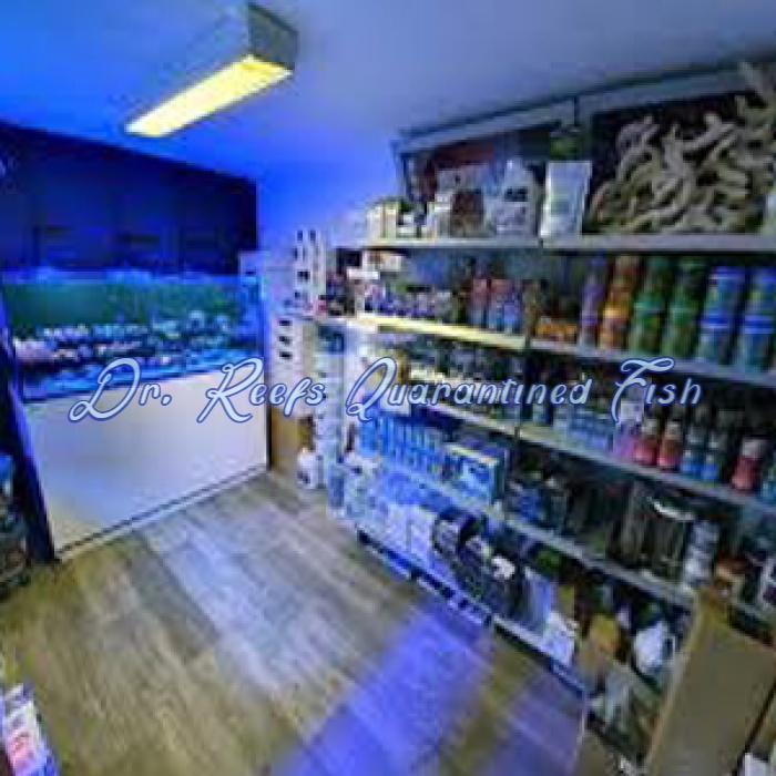 Shop | Quarantined Fish