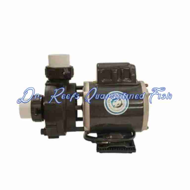 Dolphin Diamond Amp Master Pumps (Seal 3, Saltwater Safe) | Quarantined ...